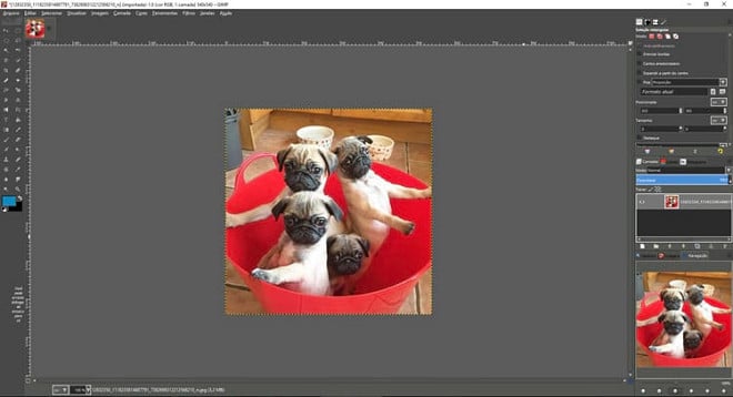 Que tal usar o GIMP com visual do Photoshop? Conheça o PhotoGIMP