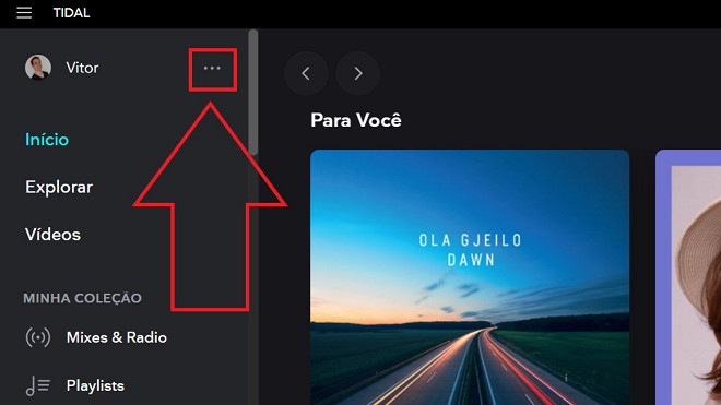 Como ouvir músicas com o MÁXIMO de qualidade no Tidal?