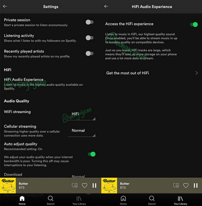 Spotify Hi-fi: Novas imagens descobertas com mais detalhes