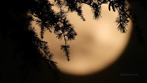 Lua Cheia hoje (10/10): veja o horário e como observar o brilho máximo ...